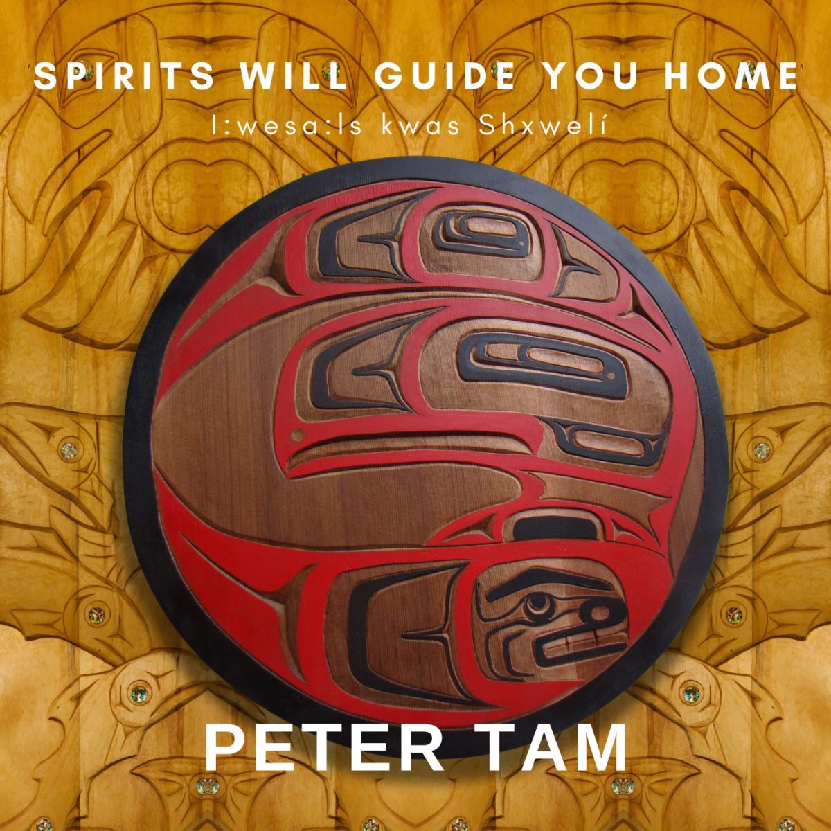 Peter Tam Music – Singer-Songwriter Composer Musician